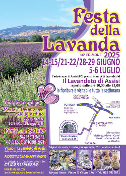 Campi di lavanda in Italia, quando vedere la lavanda fiorita. Lavandet ...